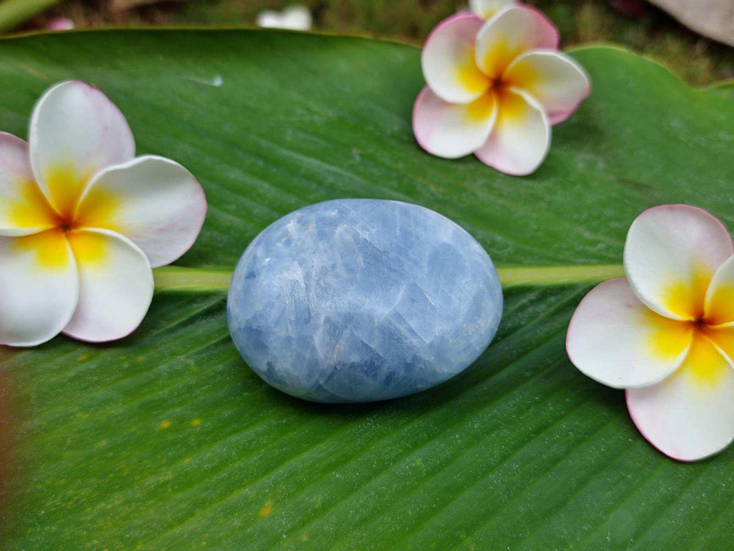 Modern Muse Crystals, Jewelry, + Gifts