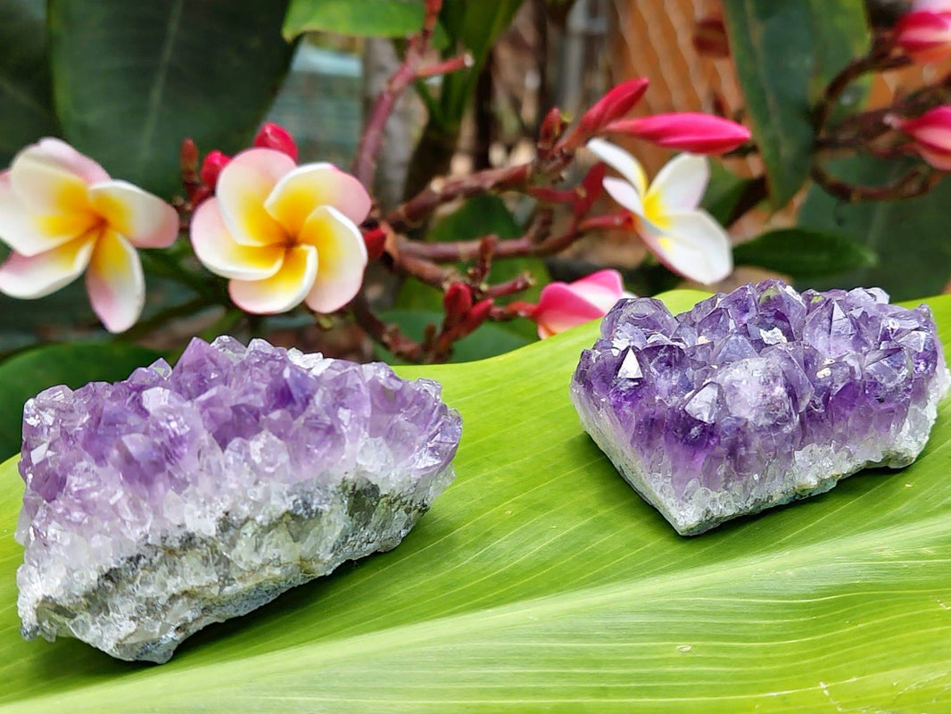 Modern Muse Crystals, Jewelry, + Gifts