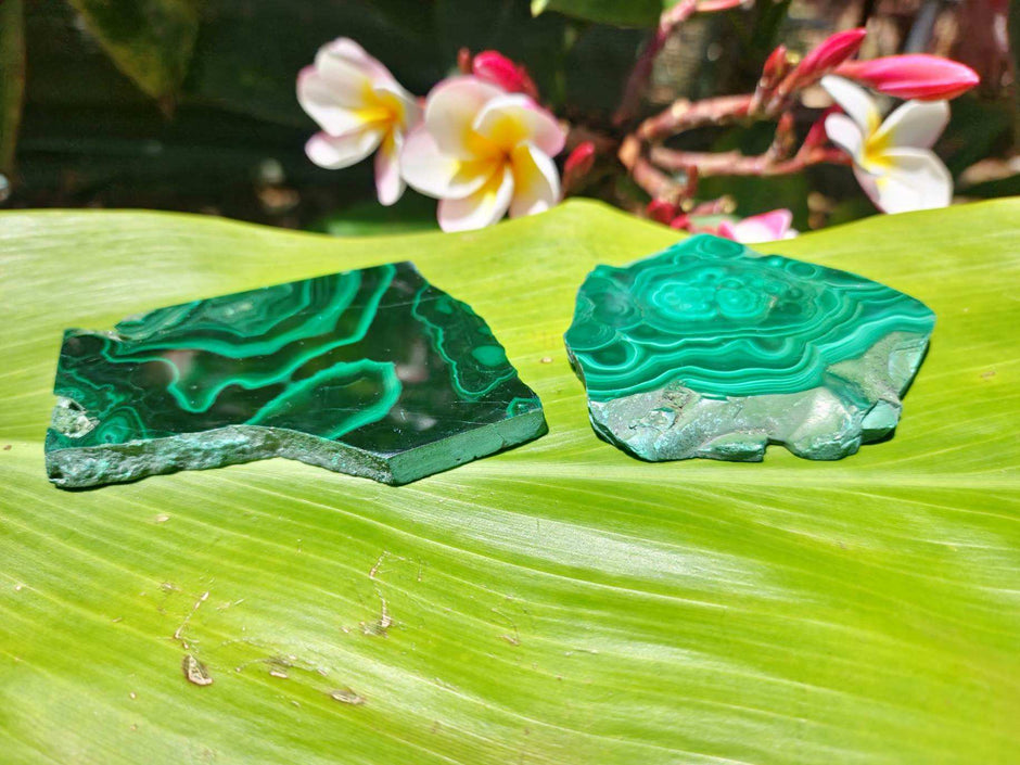 Modern Muse Crystal Shop – Modern Muse Crystals