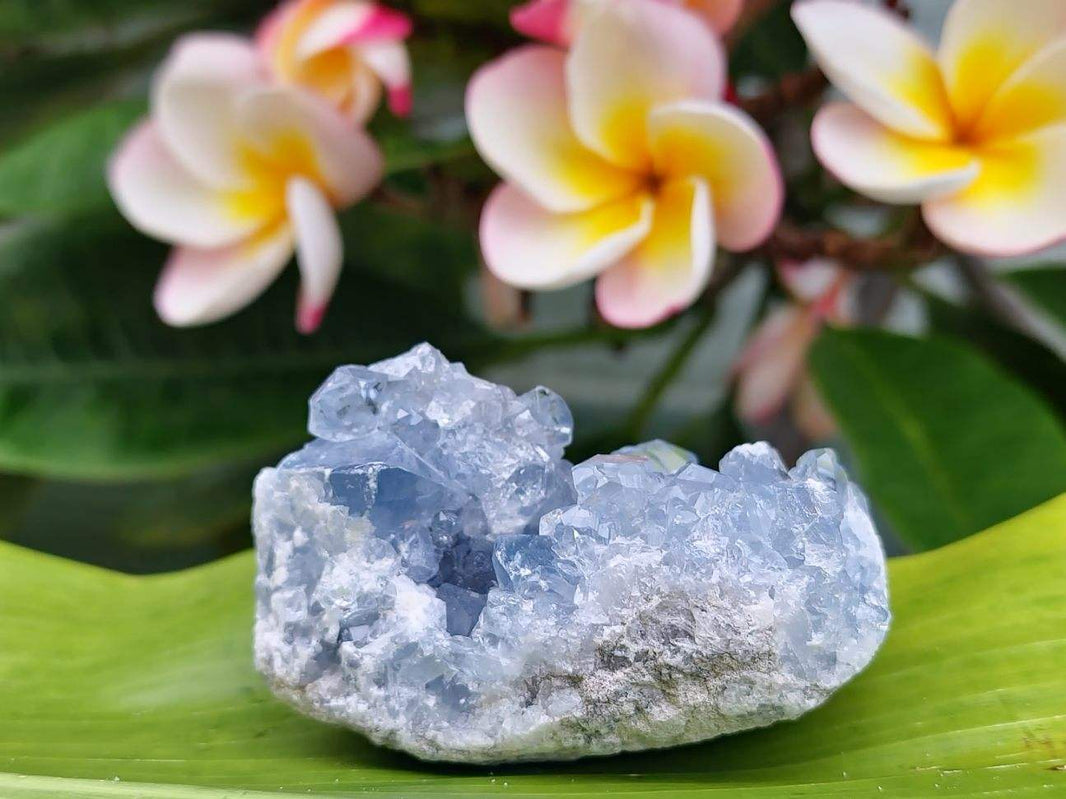 Modern Muse Crystal Shop – Modern Muse Crystals